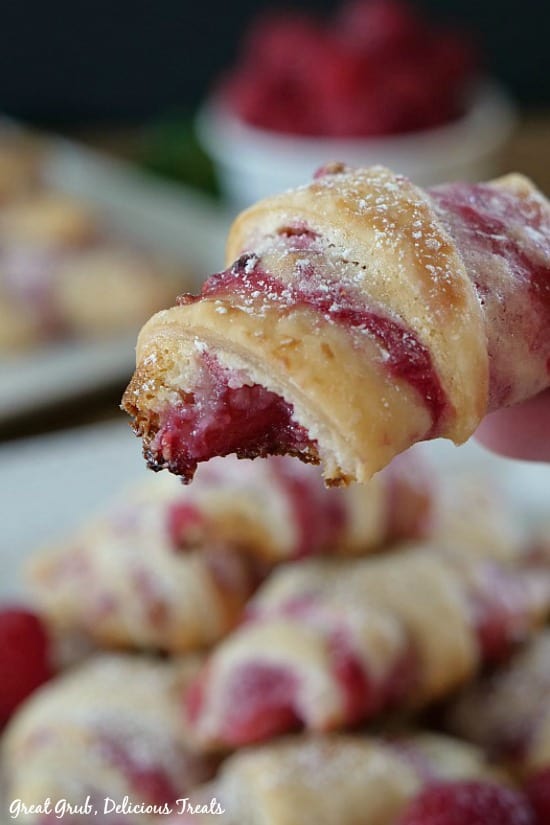 Raspberry Cream Cheese Bites - Great Grub, Delicious Treats