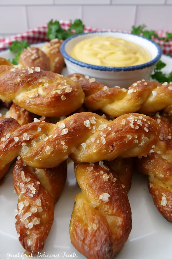 Pretzel Twists Homemade Soft Pretzels