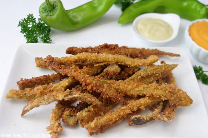 Hatch Green Chile Fries - Great Grub, Delicious Treats
