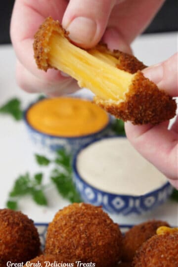 Crispy Cheese Bites - Great Grub, Delicious Treats