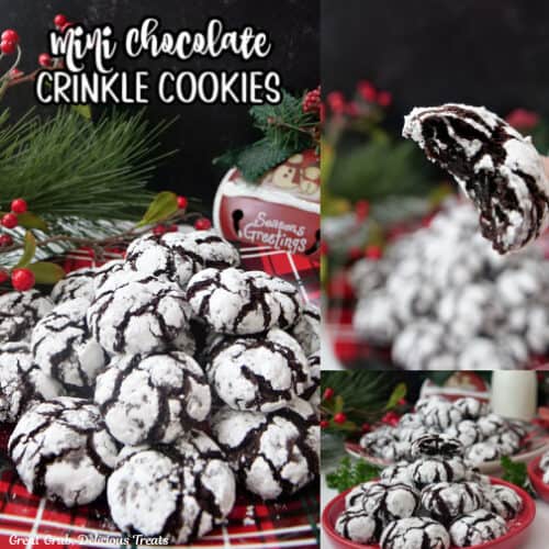 Mini Chocolate Crinkle Cookies (The Perfect Bite-Size Treat) - Great ...