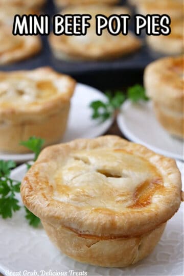 Mini Beef Pot Pies - Great Grub, Delicious Treats