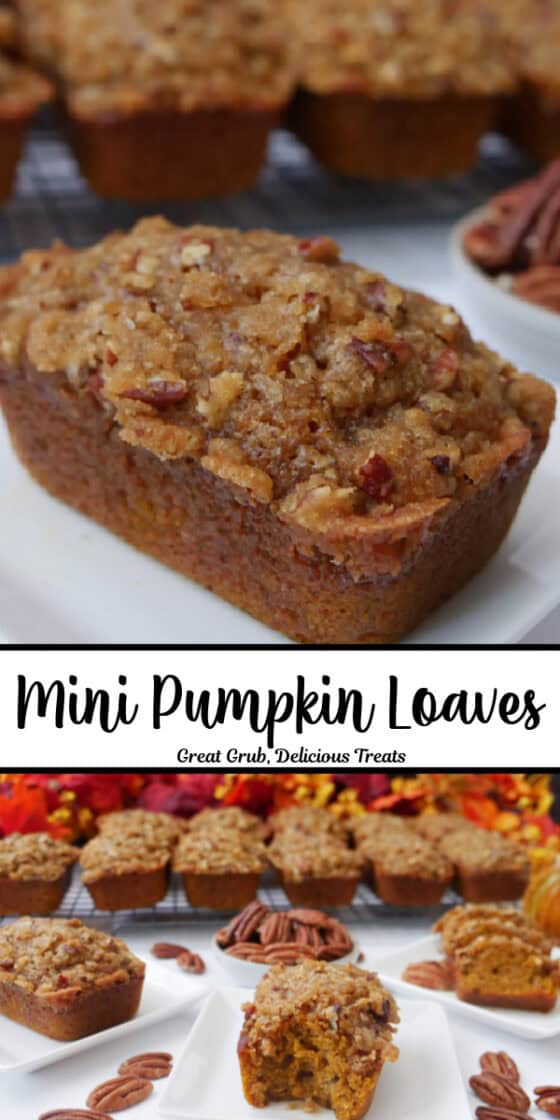Mini Pumpkin Loaves - Great Grub, Delicious Treats