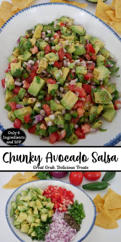 Chunky Avocado Salsa - Great Grub, Delicious Treats