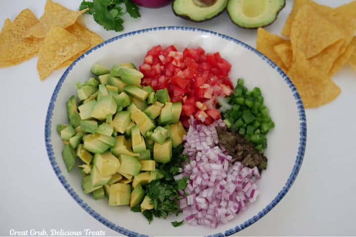 Chunky Avocado Salsa - Great Grub, Delicious Treats