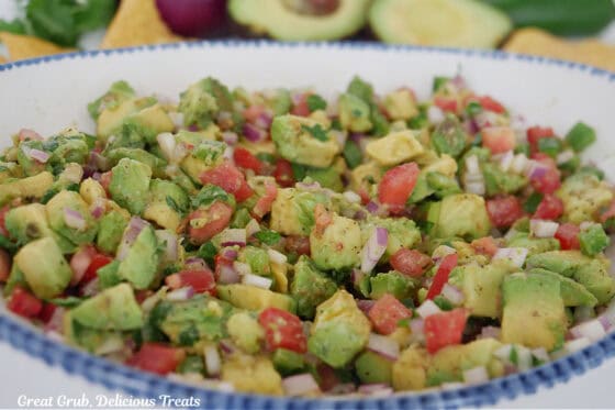 Chunky Avocado Salsa - Great Grub, Delicious Treats